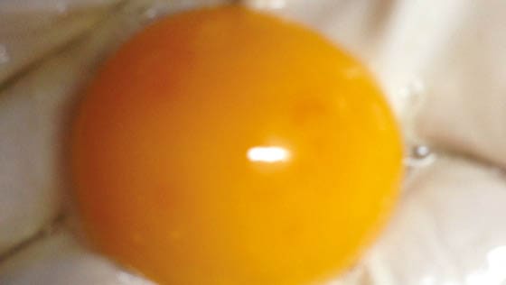 Aviagen Hatchery Tips Interactive Platform